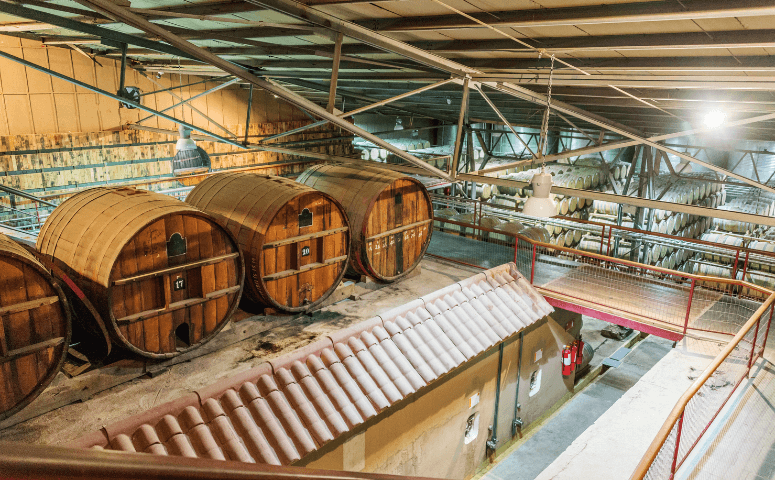 Explore Pisco Culture, Peru’s Iconic Spirit & Cocktails